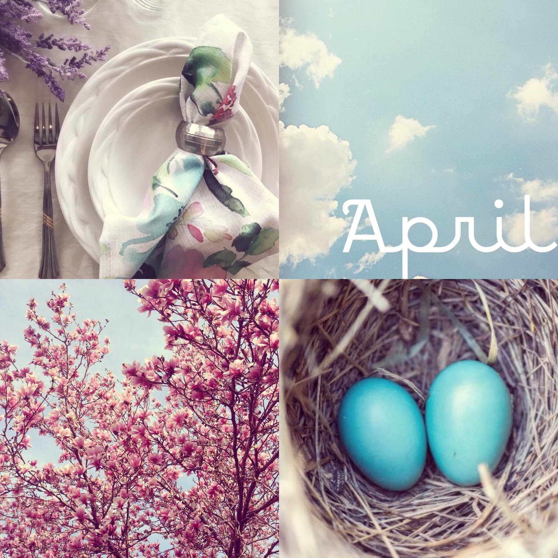 April Wrap-up 2019 – writefury